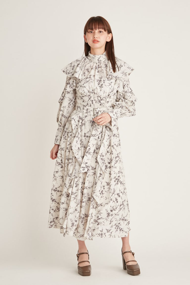Frill Printed Floral Dress – SNIDEL