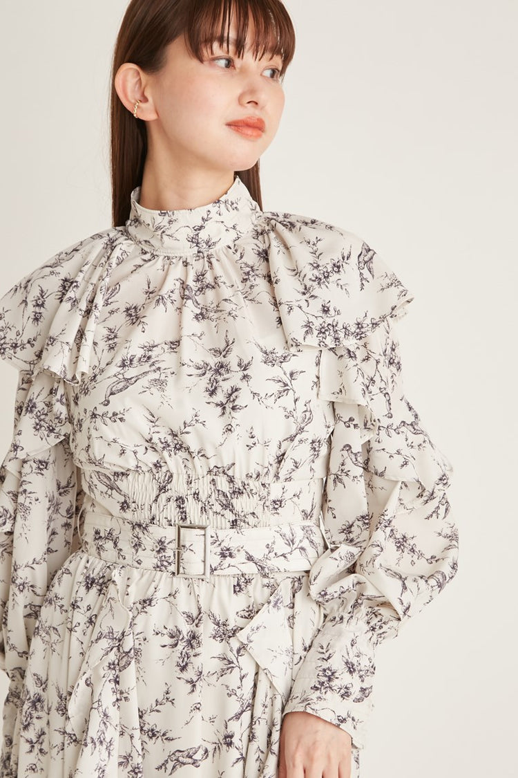 Frill Printed Floral Dress – SNIDEL